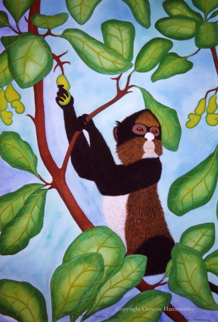 Putty Nosed Monkey - Oenone Hammersley