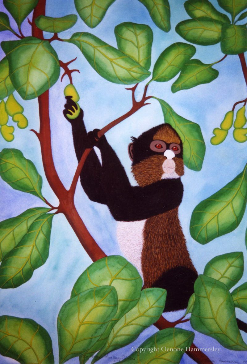 Putty Nosed Monkey - Oenone Hammersley